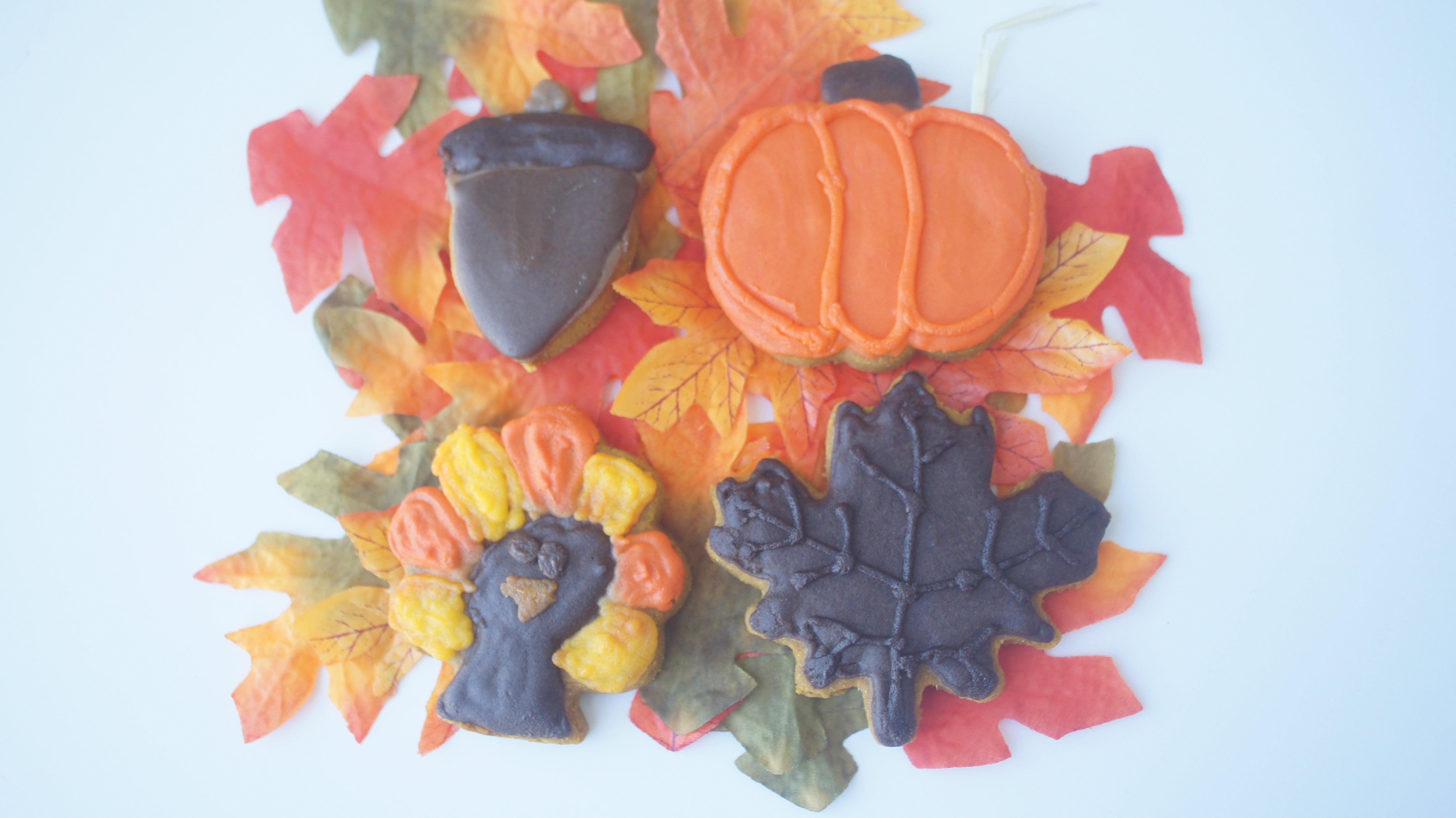 Thankful Cookies – Pup Pastry